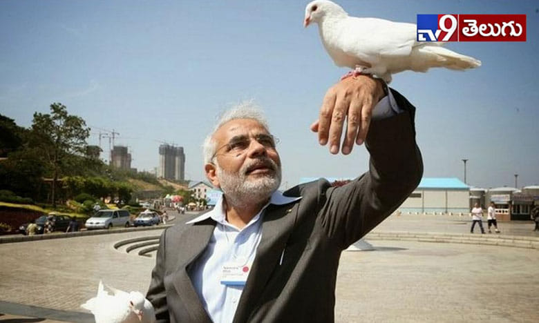 మోదీజీ.. ఇదిగో మీ ఫ్లాష్ బ్యాక్ ! ఫోటోస్ | Modi rare and unseen photos ...