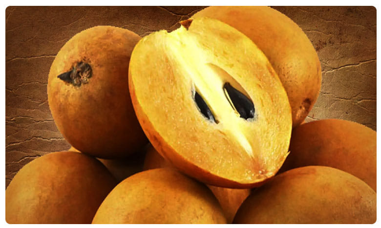 Sapota Benefits: సపోటాలో ఎన్నో పోషకాలు.. ఈ పండుతో అలాంటి అనారోగ్య ...