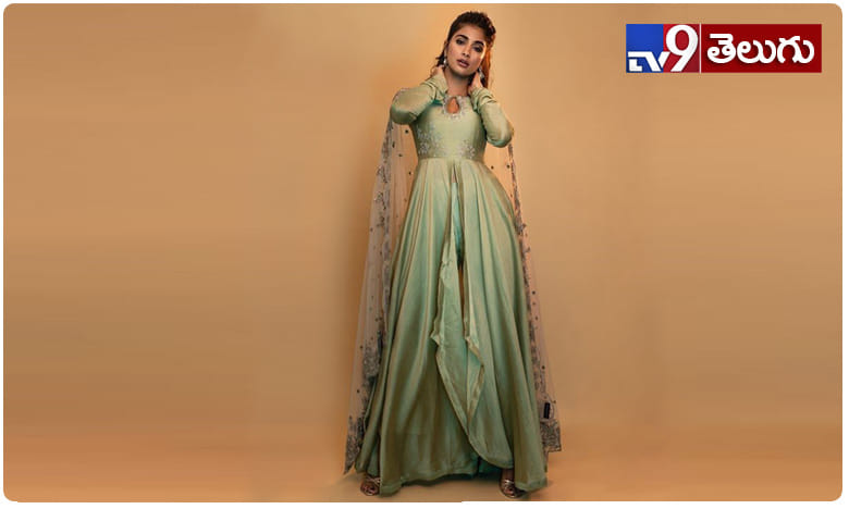 పూజ హెగ్డే హంగామా | Pooja hegde new photos 4 | TV9 Telugu