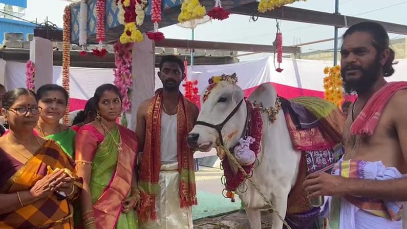 మాఘపూర్ణిమ సందర్భంగా గోవుకు శ్రీమంతం..108 మంది ముత్తైదువులతో ఘనంగా ...