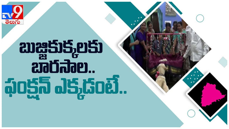 Telangana: బుజ్జి కుక్కలకు ఘనంగా బారసాల....!! ఫంక్షన్ ఎక్కడో తెలుసా ...