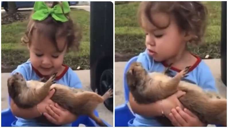 Viral Video: ఎలుకకు జోలపాట పాడుతున్న చిన్నారి.. నెటిజన్లను ...