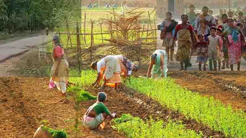 Migration of Tribals: అధికారుల వేధింపులు.. పులిభయం.. సేద్యం చేసే ధైర్యం ...