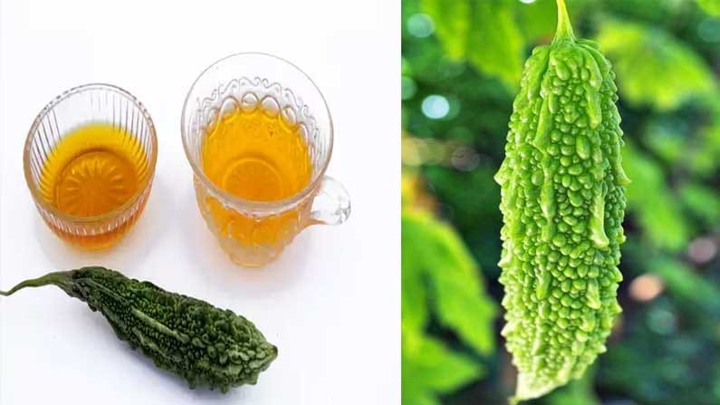Kakarakaya Tea: డయాబెటిస్‌ వ్యాధి గ్రస్తులకు కాకరకాయ టీ దివ్యౌషధం.. ఈ ...