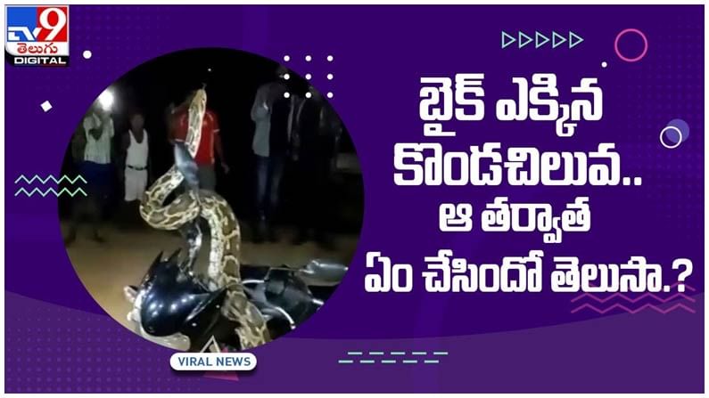 Viral Video: బైక్‌ ఎక్కిన కొండచిలువ ఏం చేసిందో తెలుసా..?? నెట్టింట ...