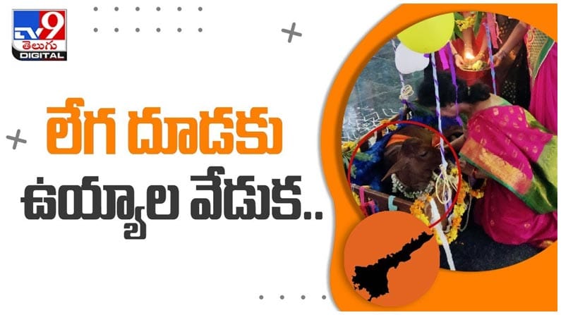 Viral Video:లేగదూడకు ఘనంగా బారసాల.. ఊయలలో వేసి మరీ, వారెవ్వా.. వీడియో ...