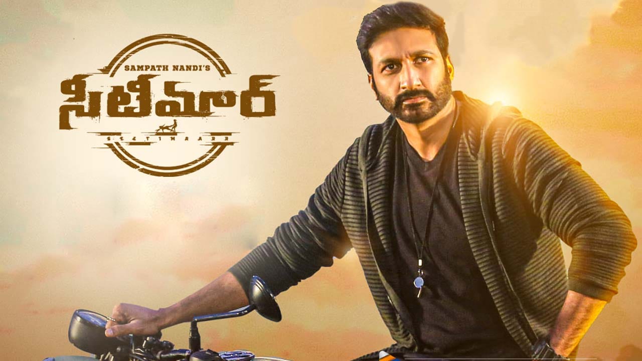 Seetimaarr Movie Review: సెన్సిటివ్‌ ఎలిమెంట్స్ ఉన్న కమర్షియల్‌ సినిమా ...