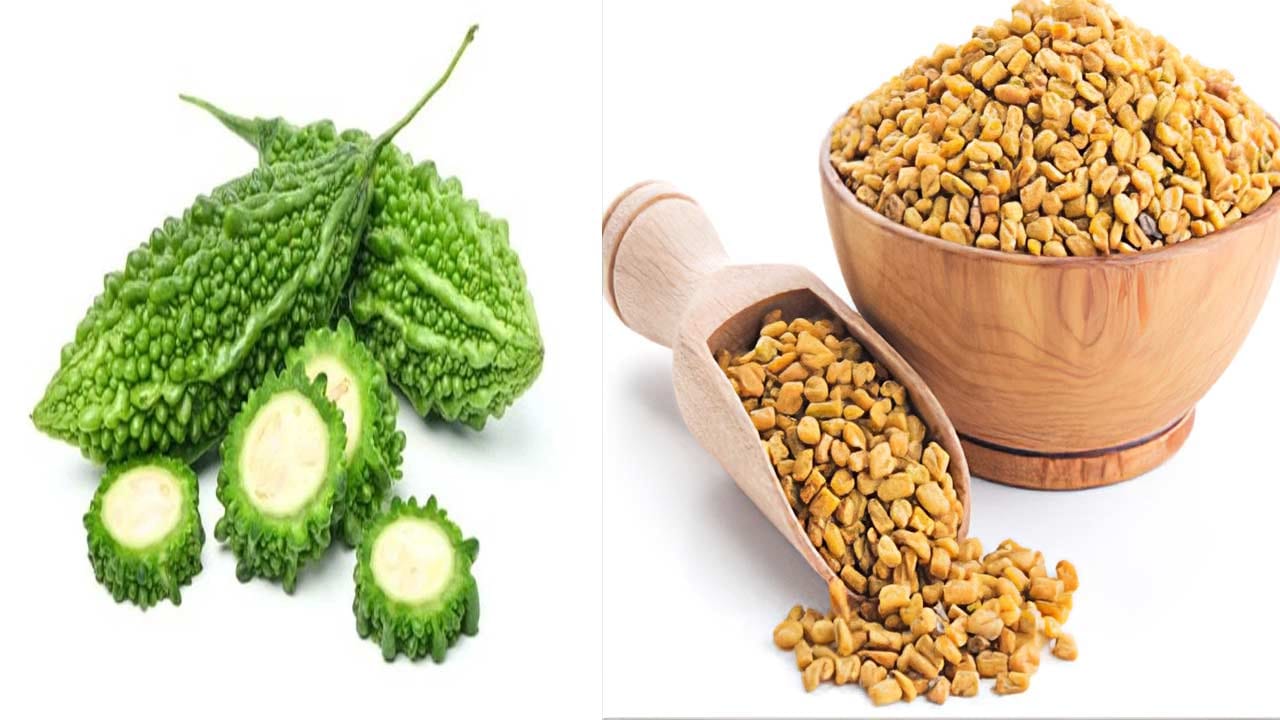 ఈ ఐదు రకాల చేదు పదార్థాలను తీసుకుంటే ఎన్నో ప్రయోజనాలు.. అవెంటో మీరు ...