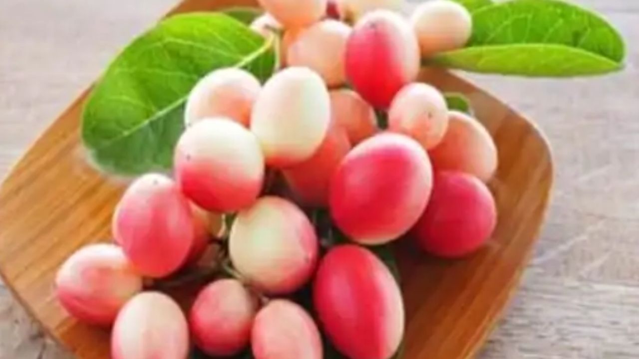 Karonda Benefits: కాల్షియం లోపంతో బాధపడుతున్నారా? అయితే కరోండా ...