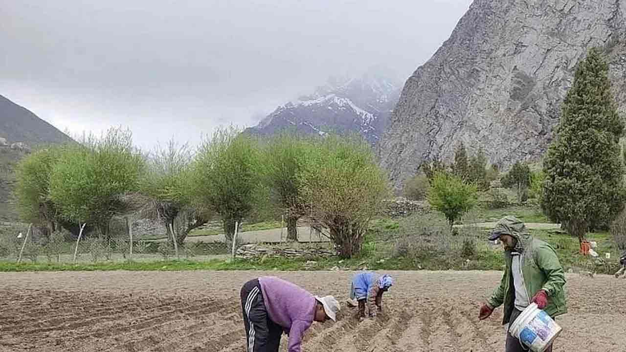 Jammu kashmir: భారత్-పాక్ సరిహద్దు జీరో లైన్‌లో సుందర దృశ్యం.. 20ఏళ్ల ...