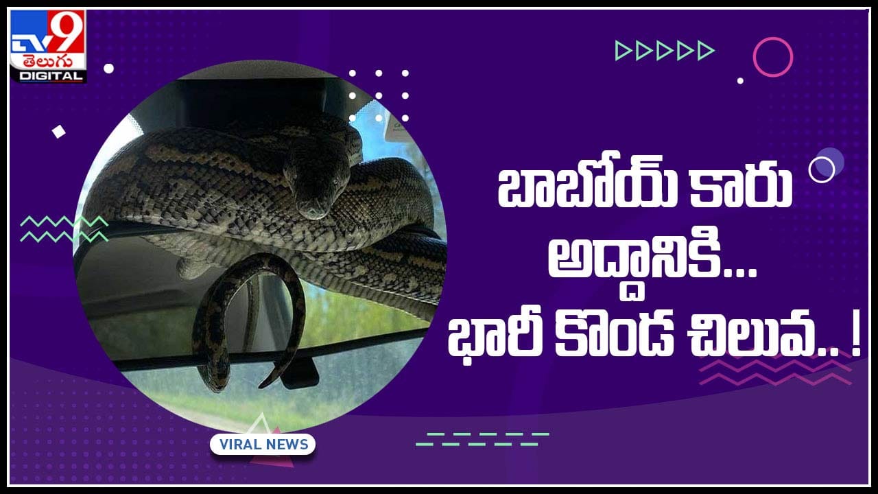 snake on mirror: బాబోయ్‌ కారు అద్దానికి భారీ కొండ చిలువ.. ! వైరల్ ...