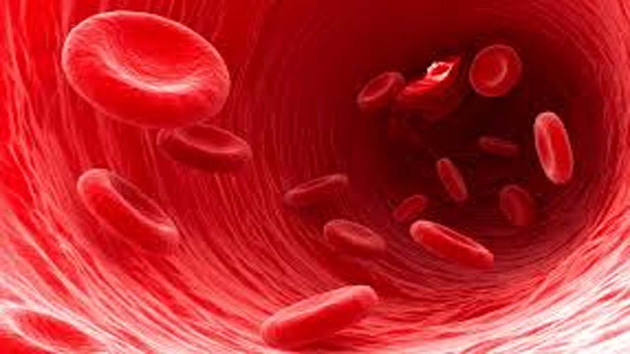 Blood: మన శరీరంలో రక్తానికి బదులు నీళ్లే ఉంటే ఏమయ్యేది? రక్తం ...
