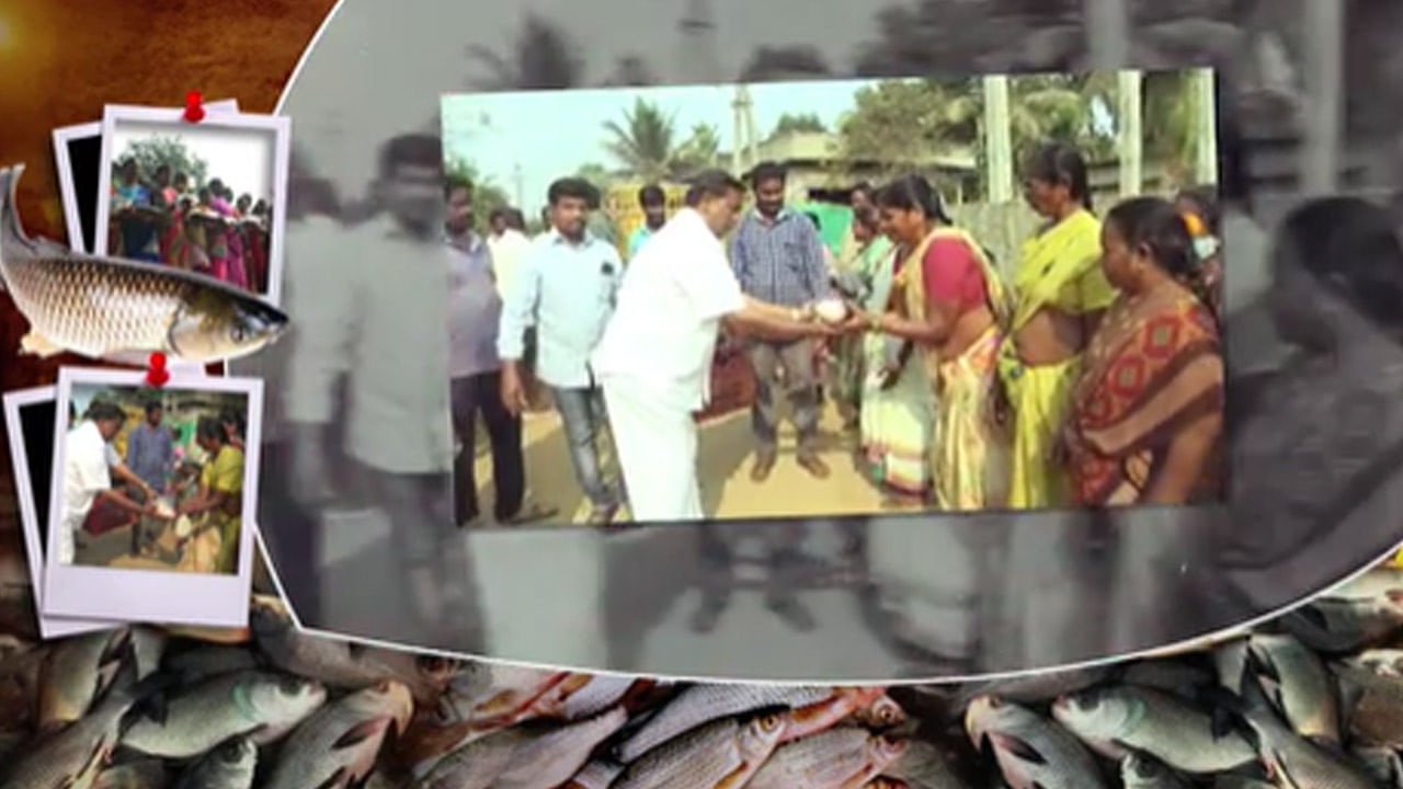 Andhra Pradesh: ఊరు మొత్తానికి ఏ గ్రేడ్ చేపలు దానం చేసిన సర్పంచ్ ...