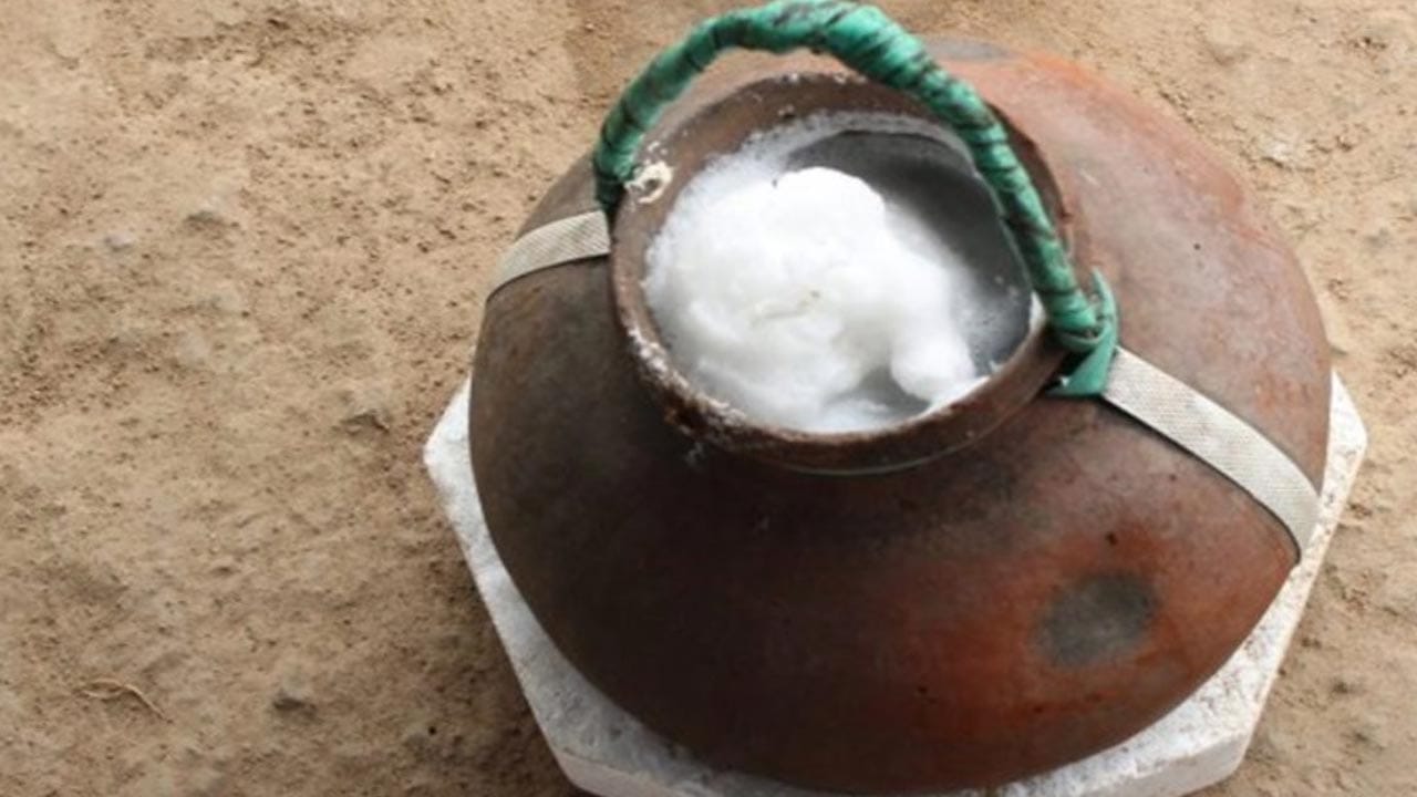 Thati kallu: తాటికల్లు ఆ సమయంలో తాగితే అద్భుతం.. దాని ప్రయోజనాలు ...