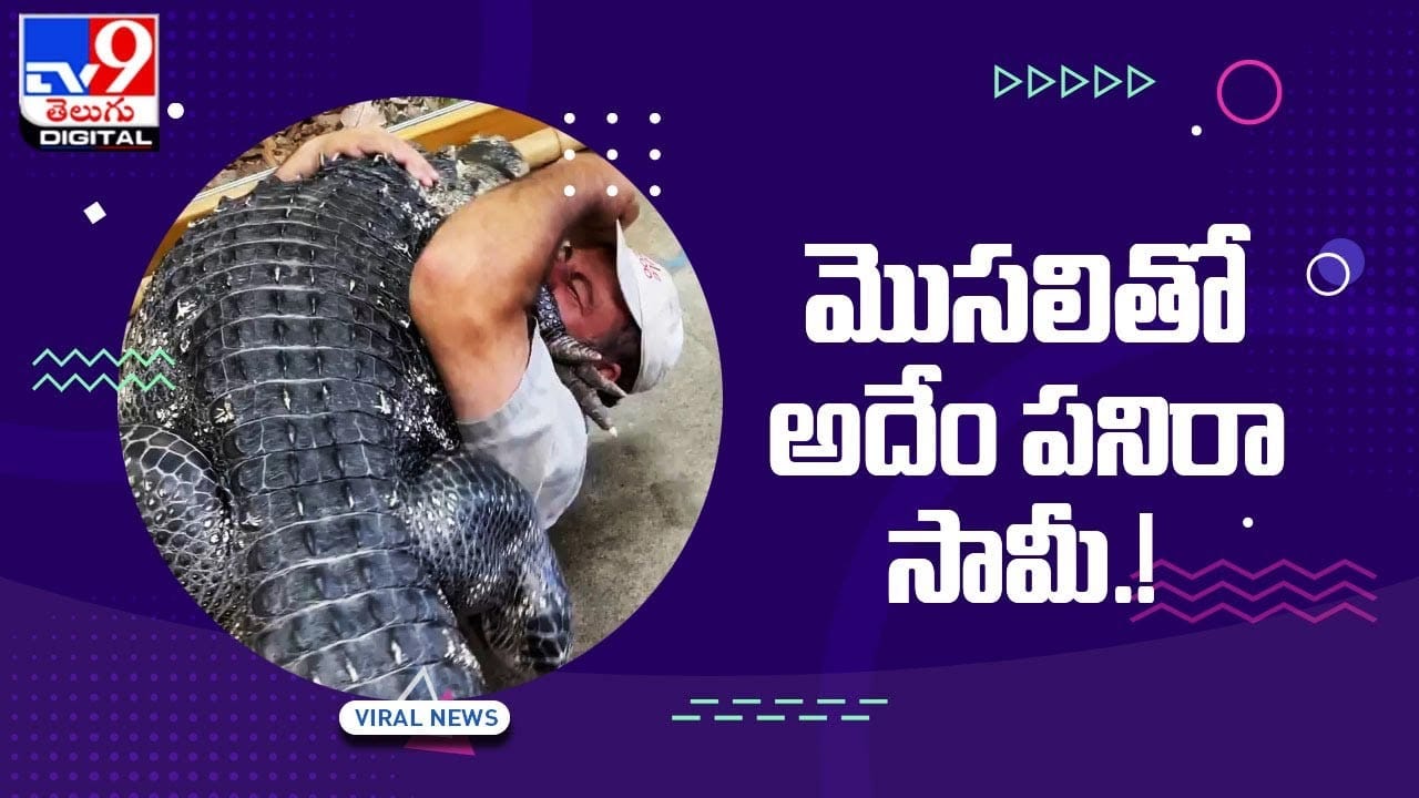 Viral Video: బాబోయ్..ఏందిది !! మొసలితో అదేం పనిరా సామీ !! - Telugu News ...