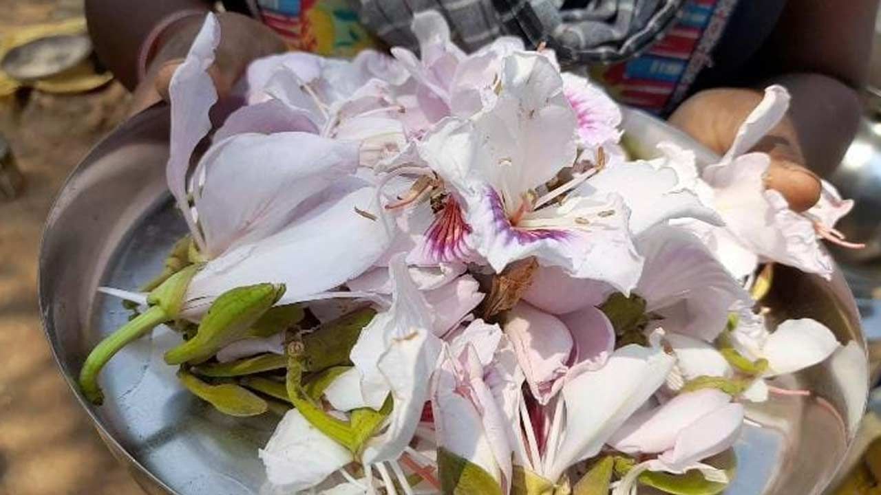 AP: ఈ పూలతో ఇగురు పెట్టి తింటే.. అస్సలు వదలరు.. టేస్ట్ అద్భుతం ...