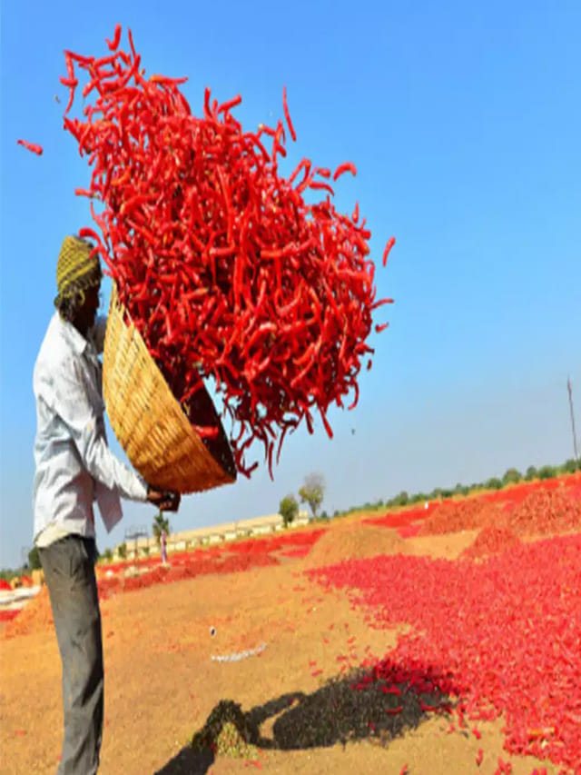 ఇప్పపువ్వు సారా కిక్కు.. మామూలుగా ఉండదు.. కానీ ఆ ప్రాంత మహిళలు ఈ ...
