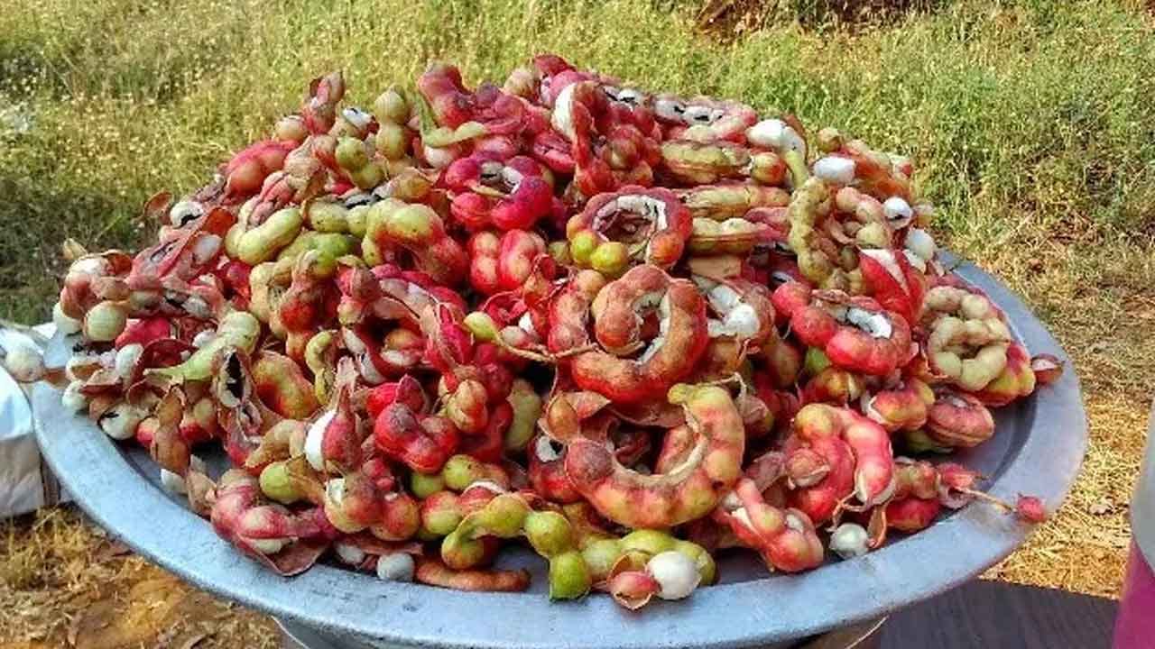 Seema Chinthakayalu: ఈ కాయలు ఎప్పుడైనా తిన్నారా..? సూపర్ టేస్టే కాదు ...