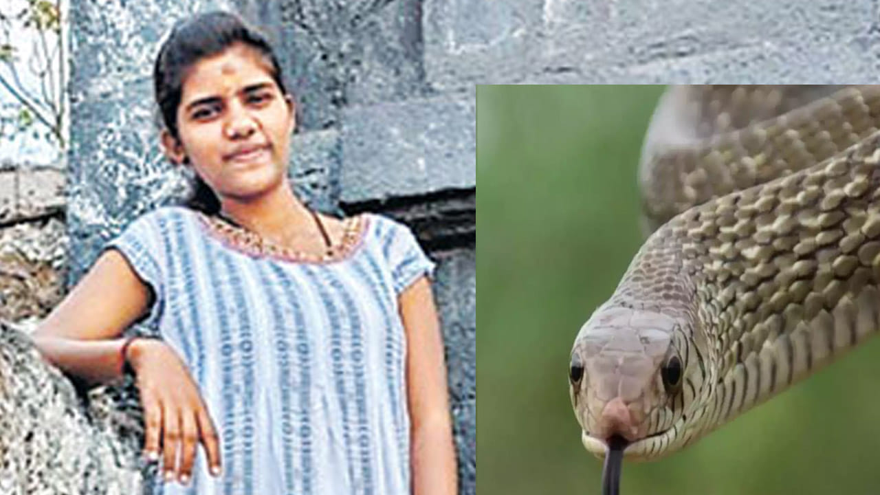 Telangana: The snake that chased the young woman .. bites three times ...