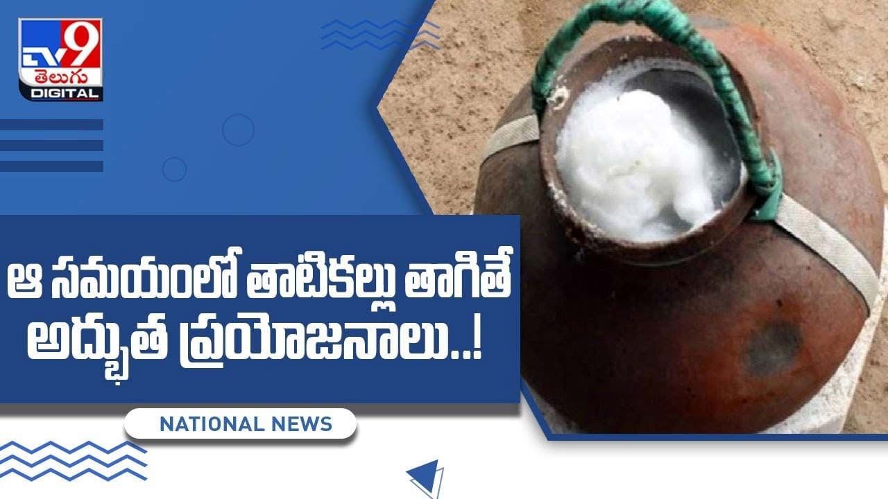 ఆ సమయంలో తాటికల్లు తాగితే అద్భుత ప్రయోజనాలు !! వీడియో - Telugu News ...