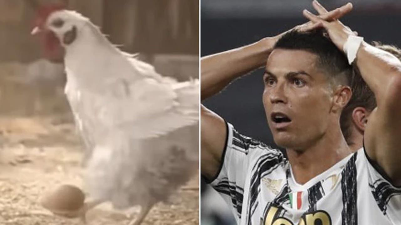 Viral Video: నేనెప్పుడూ చూడలే..! ఈ కోడి గుడ్డుతోనే ఫుట్‌బాల్ ఆడేస్తోంది ...