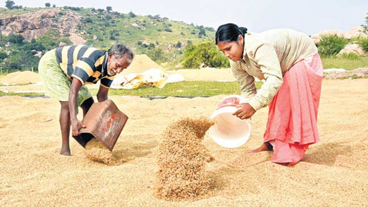 Paddy Purchase: ఇవాళ్టి నుంచి తెలంగాణలో వడ్ల కొనుగోళ్లు..ఈ సీజన్‌లో 60 ...