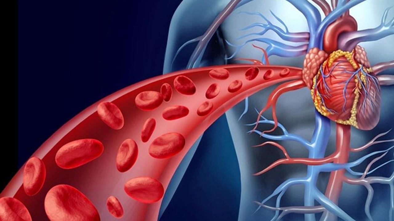 Blood Circulation: మీ శరీరంలో రక్తం సరఫరా సరిగ్గా లేకపోతే ఏం జరుగుతుందో ...