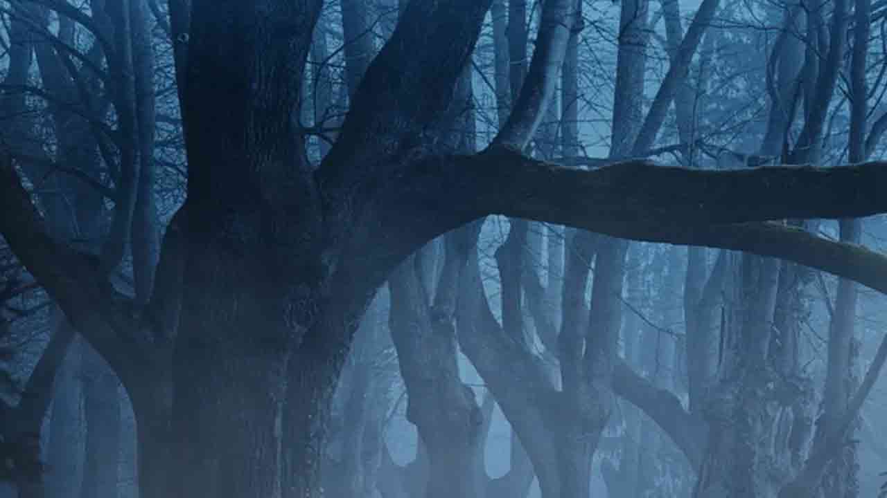 Viral Photos: ప్రపంచంలోనే ప్రమాదకరమైన అడవి.. వెళ్లారంటే తిరిగి రావడం ...