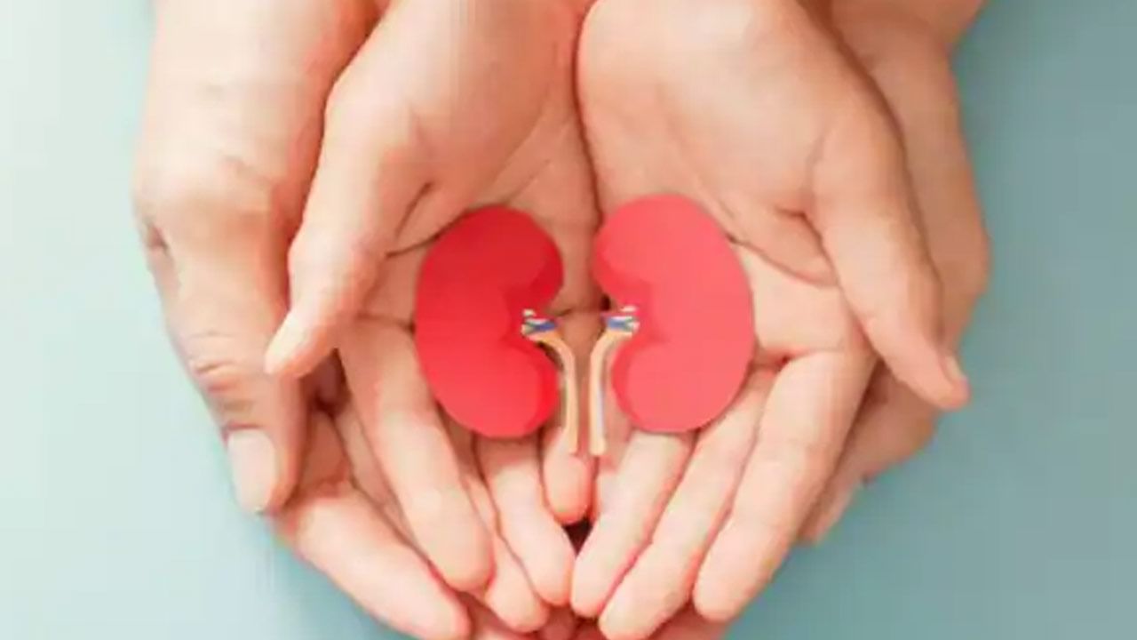 Kidney Care Tips: కిడ్నీల్లో రాళ్ల సమస్యతో బాధపడుతున్నారా..? అయితే ఈ ... Kidney Care Tips: కిడ్నీల్లో రాళ్ల సమస్యతో బాధపడుతున్నారా..? అయితే ఈ ...