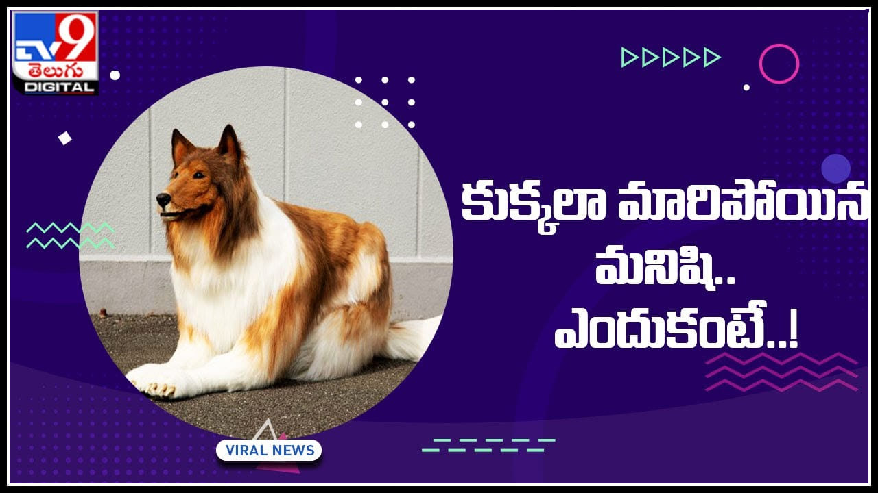 Man turned dog: ఇదేందయ్యా ఇది..! ఇదే ఆలోచన.. కుక్కలా మారిపోయిన మనిషి ...