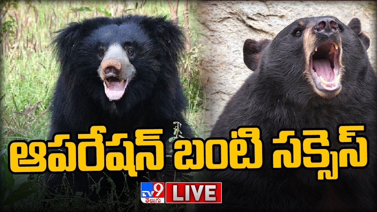 Bear Search Operation Success: ఆపరేషన్ భల్లూక్ సక్సెస్‌.. ఎట్టకేలకు ...