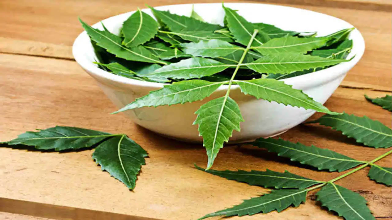 Neem Health Benefits: వేపతో అదిరిపోయే ప్రయోజనాలు.. రోగనిరోధక శక్తిని ...