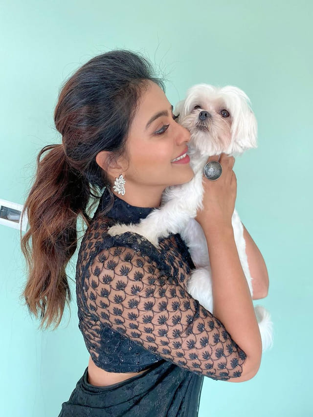 Tippa Teega: తిప్పతీగతో దిమ్మతిరిగే బెనిఫిట్స్.. రోజు 2 ఆకులు నమిలితే ...