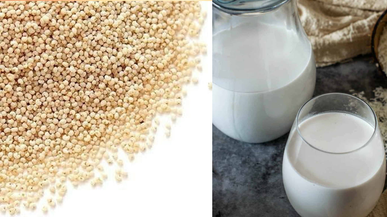 BP Control Tips: బీపీతో చింత వద్దు.. గసగసాల పాలు తాగితే చాలు.. ఎలా ...