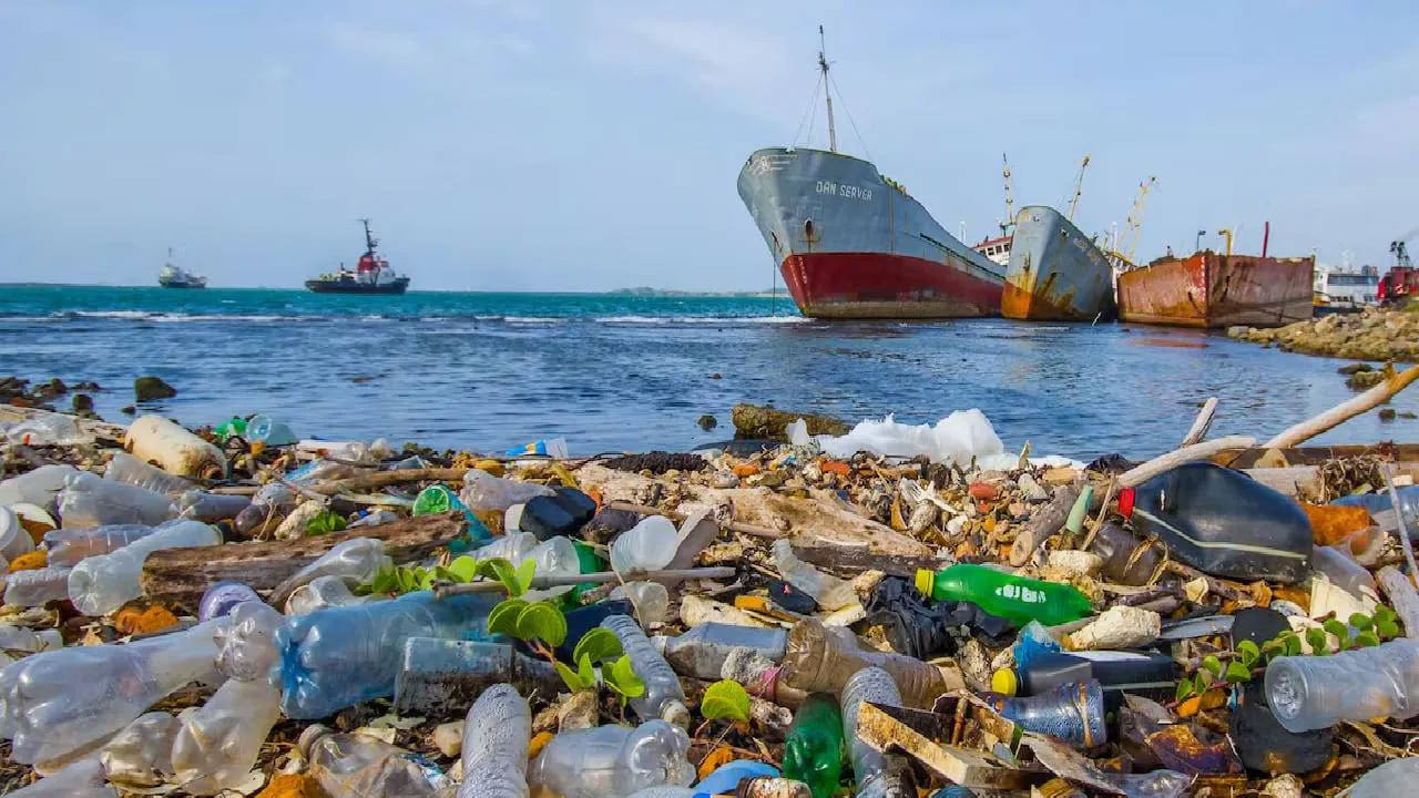 Plastic Pollution: పెరుగుతున్న ప్లాస్టిక్ వ్యర్ధాలు.. కూల్ డ్రింక్స్ ...