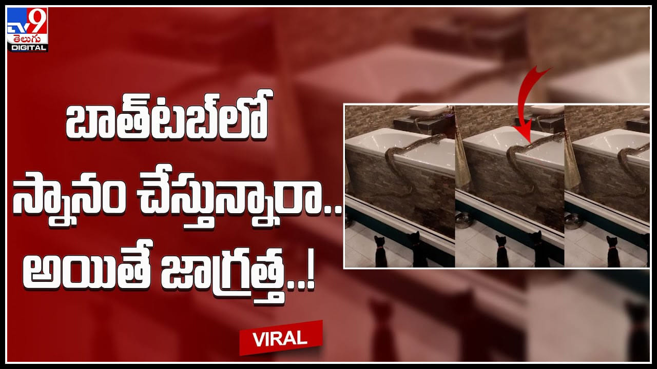 Bath tub: బాత్‌టబ్‌లో స్నానం చేస్తున్నారా.. మీకోసం అతిధులు వెయిటింగ్ అక్కడ జాగ్రత్త..!(వీడియో ...