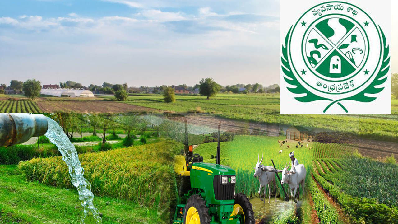 Jaivik India Awards: ఏపీ ప్రభుత్వ ప్రోత్సాహం.. ప్రకృతి వ్యవసాయానికి ...