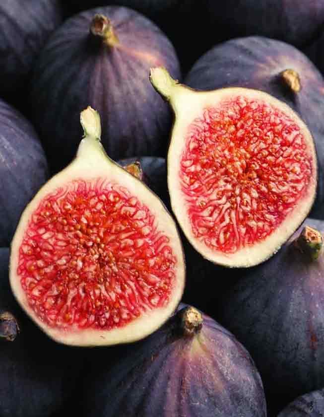 అంజీర్ తో అదిరిపోయో ప్రయోజనాలెన్నో.. – TV9 Telugu