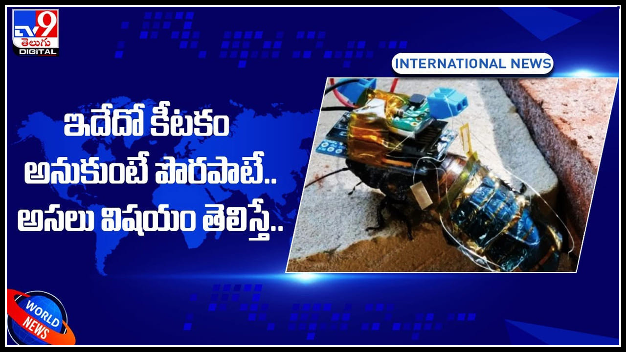 Innovative Experiment: ఇదేదో కీటకం అనుకుంటే పొరపాటే.. అసలు విషయం ...