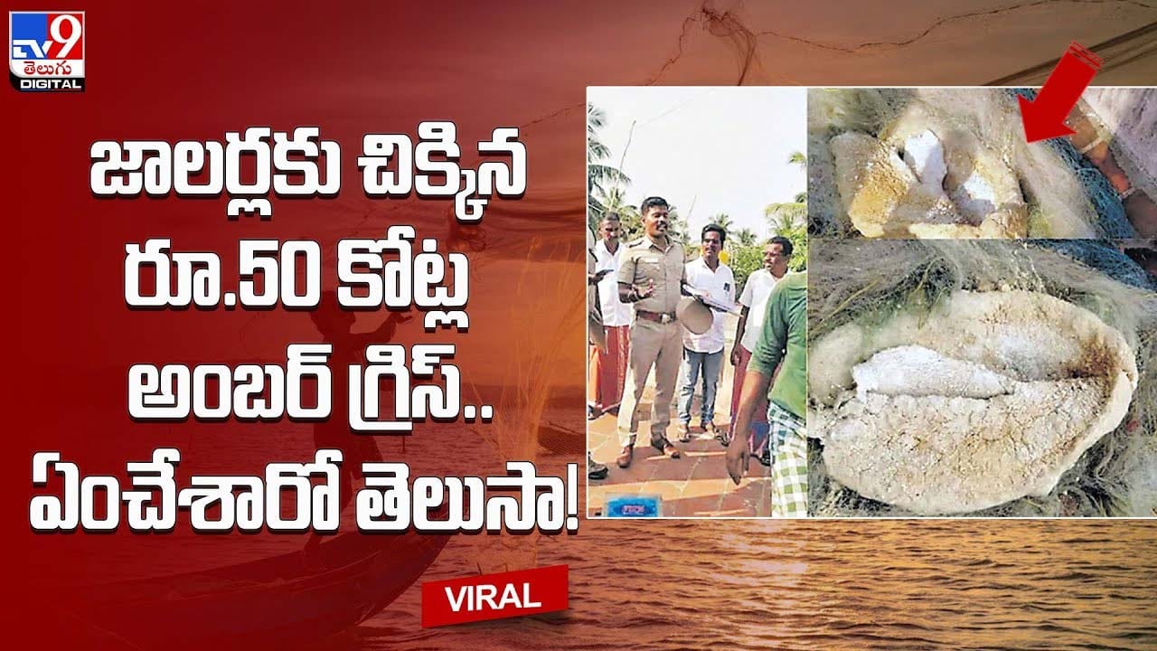 జాలర్లకు చిక్కిన రూ.50 కోట్ల అంబర్‌ గ్రిస్‌.. ఏంచేశారో తెలుసా ...