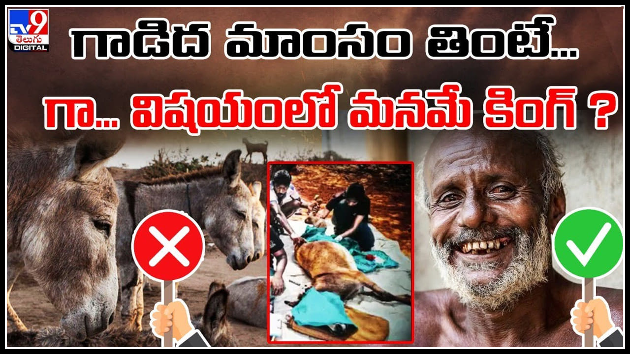 Donkey Meat: గాడిద మాంసం తింటే...గా... విషయంలోమనమే కింగ్‌.? అంతే ...