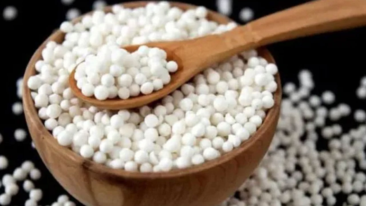 Sago Benefits: రోజూ సగ్గుబియ్యం తింటే ఆ సమస్యల నుంచి ఉపశమనం.. ఇంకా ...