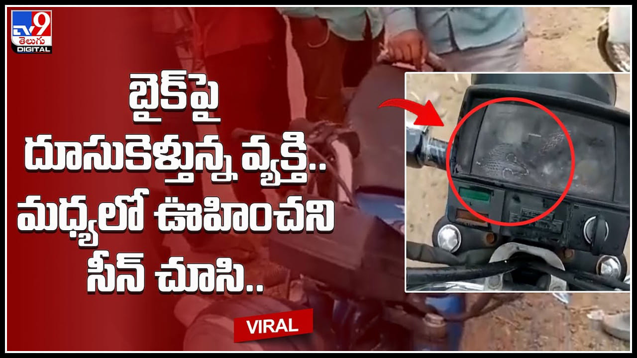 Snake in bike: బైక్‌పై దూసుకెళ్లున్న వ్యక్తి.. సడన్‌గా ట్రబుల్‌ ఇచ్చిన ...