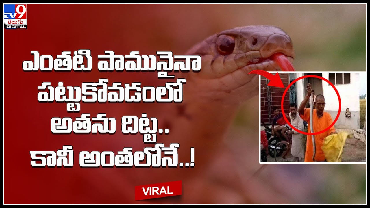Famous Snake man: ఎంతటి పామునైనా పట్టుకోవడంలో అతను దిట్ట.. కానీ అంతలోనే ...