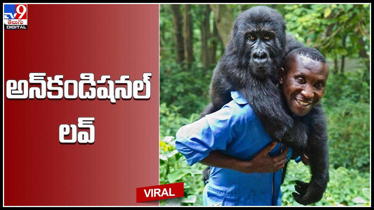 Unconditional love: అన్‌ కండిషనల్‌ లవ్‌.. 13 ఏళ్లపాటు కంటికిరెప్పలా కాపాడాడు.చివరి శ్వాసవరకూ ...