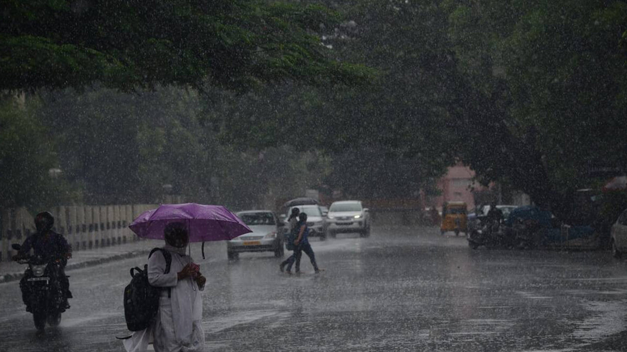Chennai Rains: చెన్నైలో దంచికొడుతున్న వర్షాలు.. పలు జిల్లాలాకు రెడ్ ...