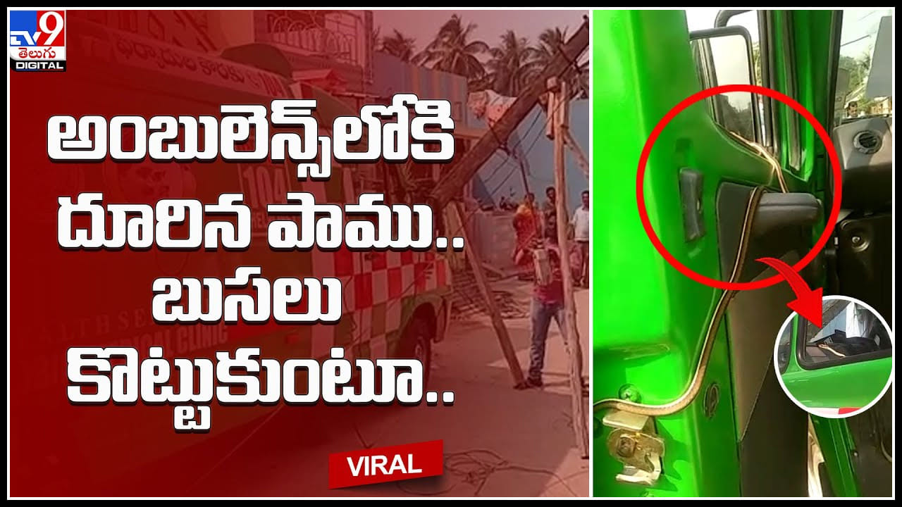 Snake in Abuliance: అంబులెన్స్‌లోకి దూరిన పాము.. బుసలు కొట్టుకుంటూ ...