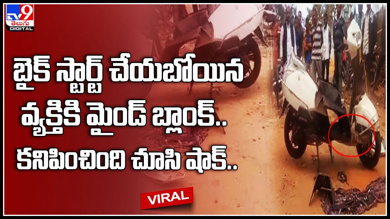 Viral Video: బైక్ స్టార్ట్ చేయబోయిన వ్యక్తికి మైండ్ బ్లాంక్.. ఎదురుగా కనిపించింది చూసి షాక్ ...