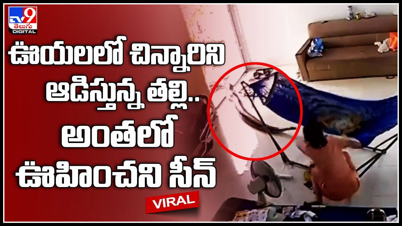 Mother adventure: ఊయ‌లలో చిన్నారిని ఆడిస్తున్న త‌ల్లి.. అంతలో ఊహించని సీన్‌..!వామ్మో... - Telugu ...