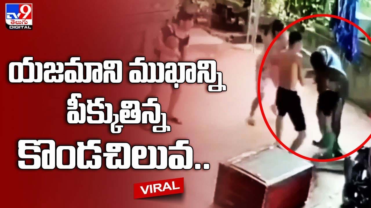 య‌జ‌మాని ముఖాన్ని పీక్కుతిన్న కొండ‌చిలువ‌.. షాకింగ్‌ వీడియో - Telugu News | Python attacks man ...